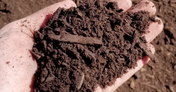 Soil & Compost